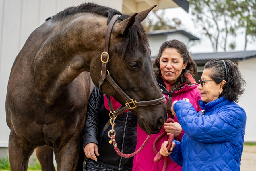 Events from May 2, 2023 – September 16, 2023 – Connected Horse